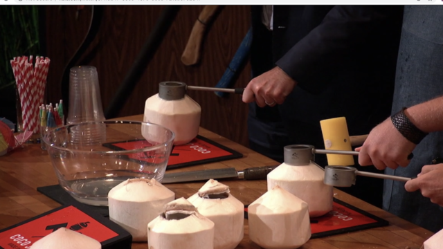 Shark Tank Coco Jack Update 2026 | Season 6
